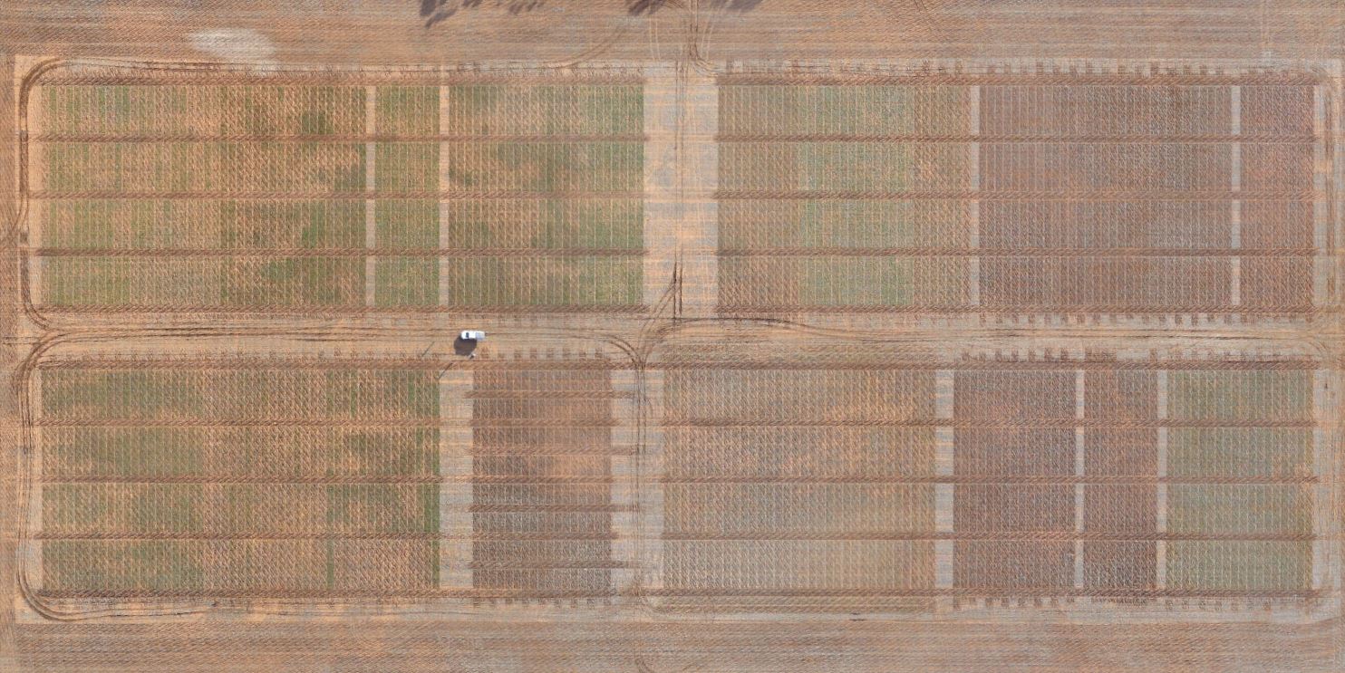 UAVs for crop research | Birchip Cropping Group