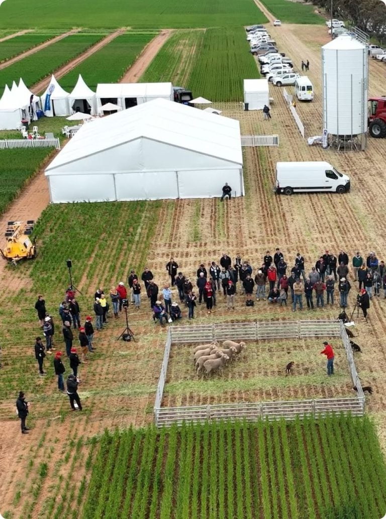 Our History | Birchip Cropping Group