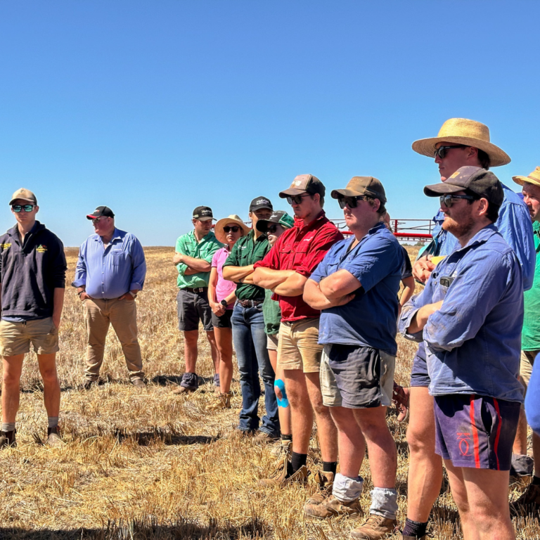 BCG Young Farmer Network connecting young farmers | Birchip Cropping Group
