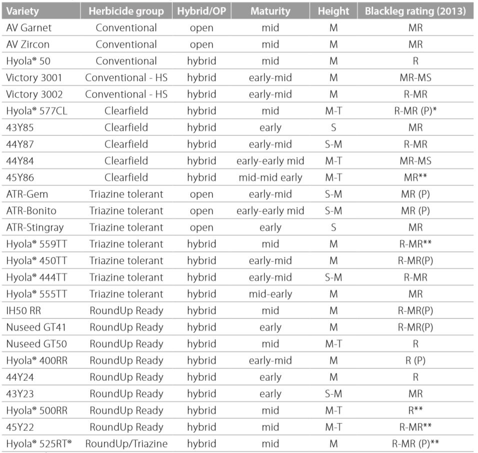 Canola Varieties | Birchip Cropping Group