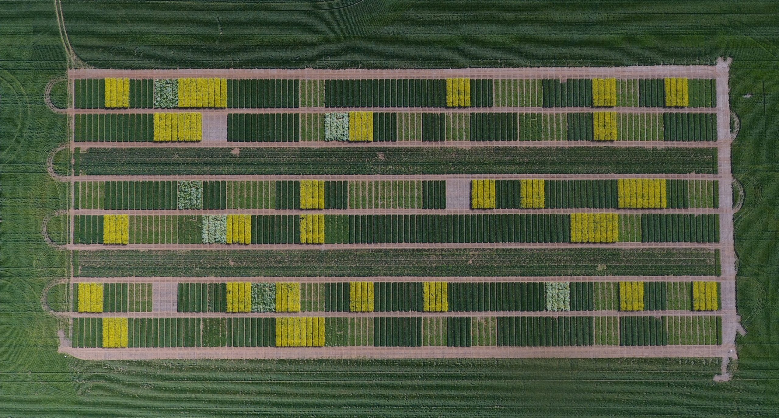 Our Projects | Birchip Cropping Group