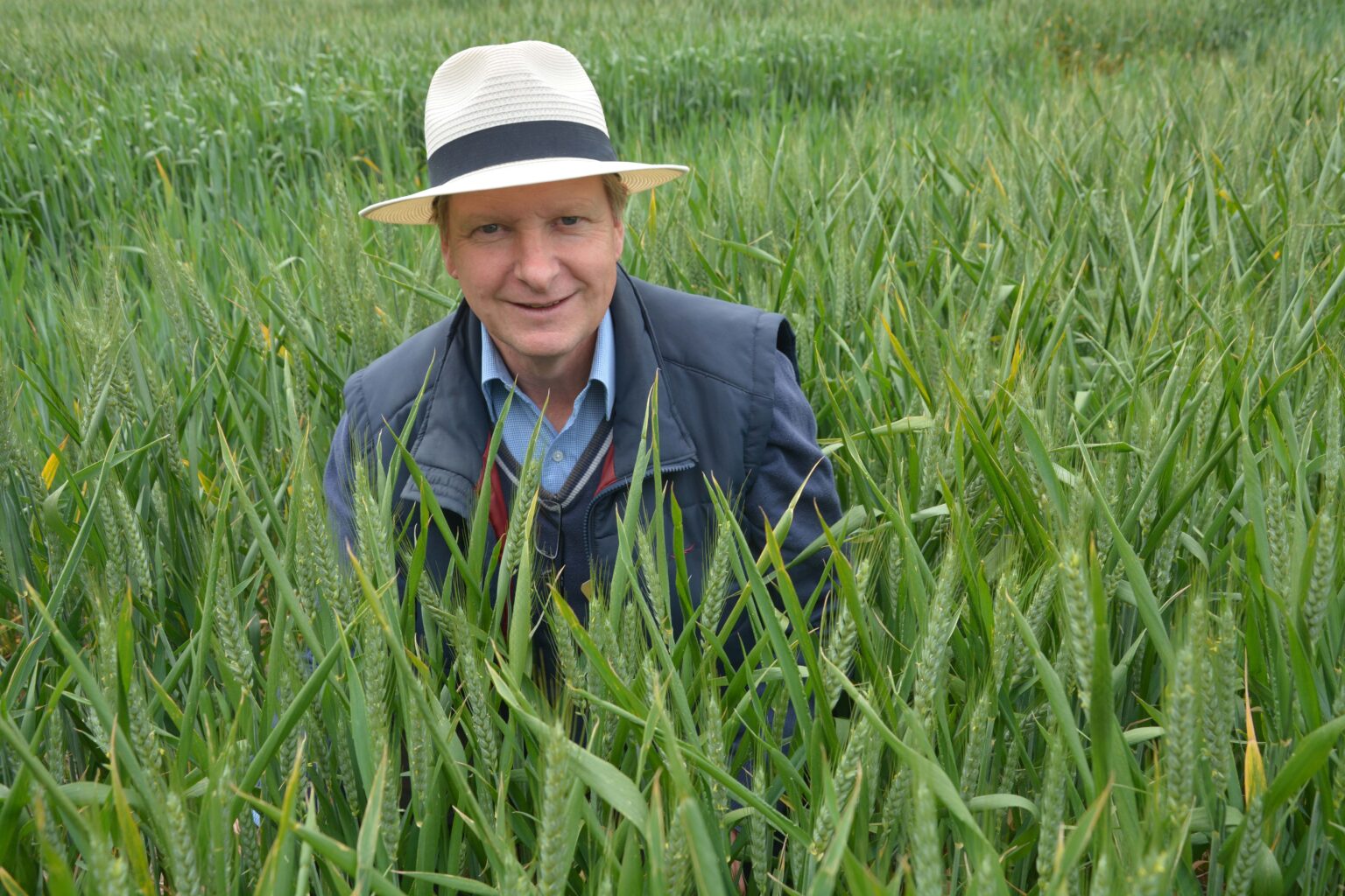 New pre-emergent chemistry at BCG Trials Review Day | Birchip Cropping ...