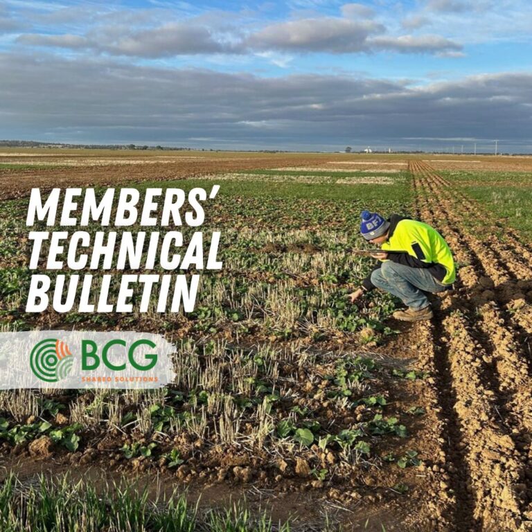 Birchip Cropping Group | Research for Broadacre Farmers