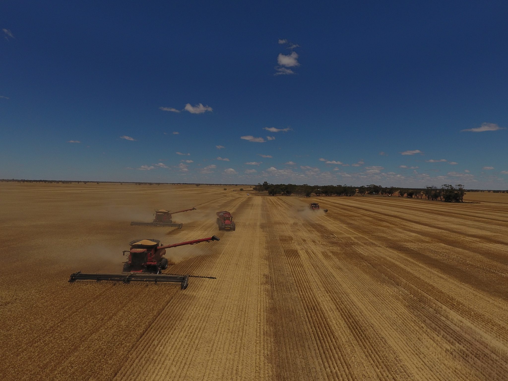 Birchip Cropping Group | Research for Broadacre Farmers