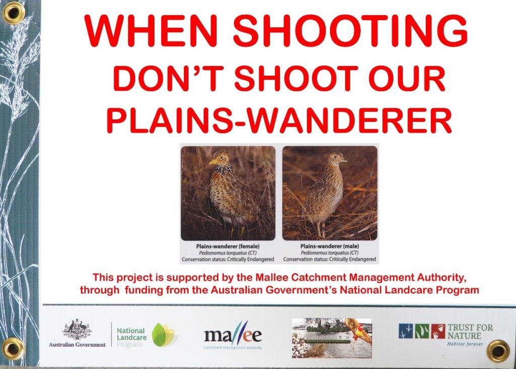 A neighbour you mightn’t know yet: the Plains-wanderer | Birchip Cropping Group