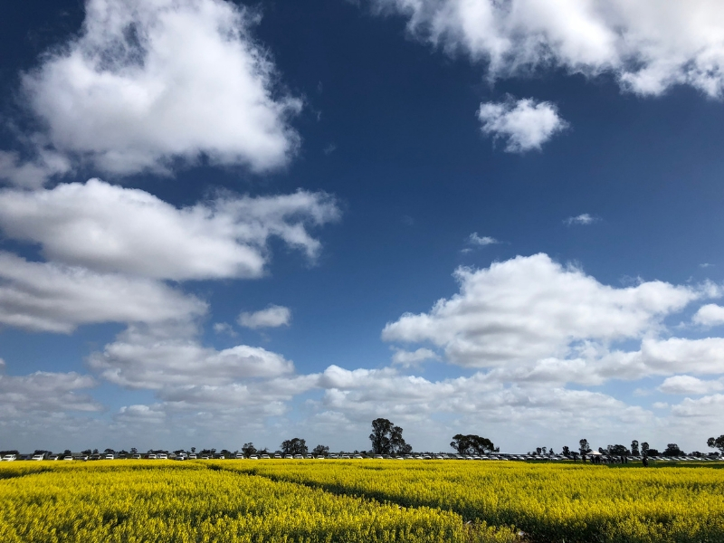Mid-row banding to improve nitrogen use efficiency | Birchip Cropping Group