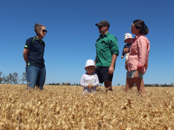 Vic Drought Hub | Birchip Cropping Group