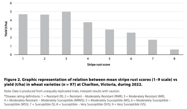 Stripe rust management during a high-pressure season | Birchip Cropping ...