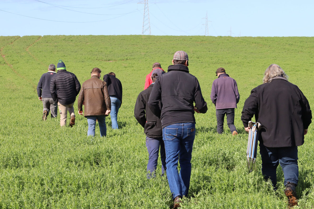 Managing vulnerable soils (paddock walks and soil pits) - Ouyen ...