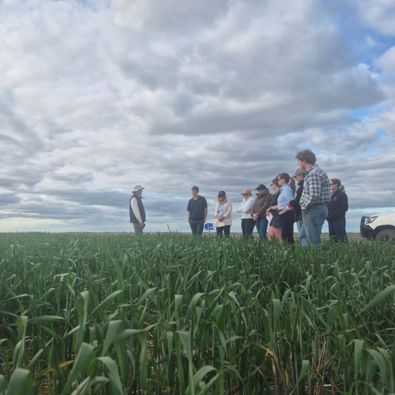 Birchip Cropping Group | Research for Broadacre Farmers