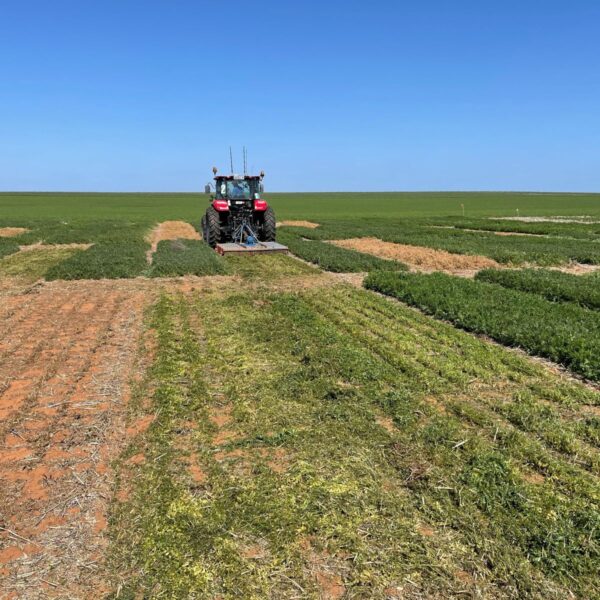 Birchip Cropping Group | Research for Broadacre Farmers
