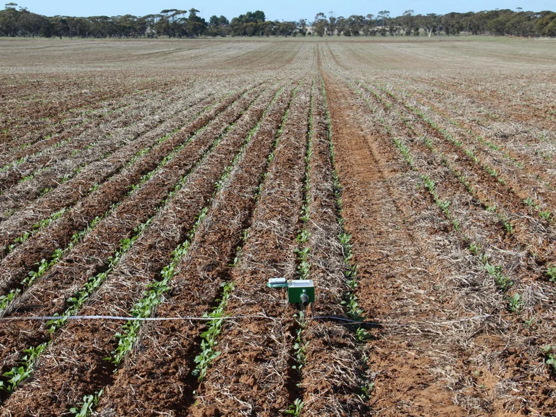 Adapting our farming systems | Birchip Cropping Group