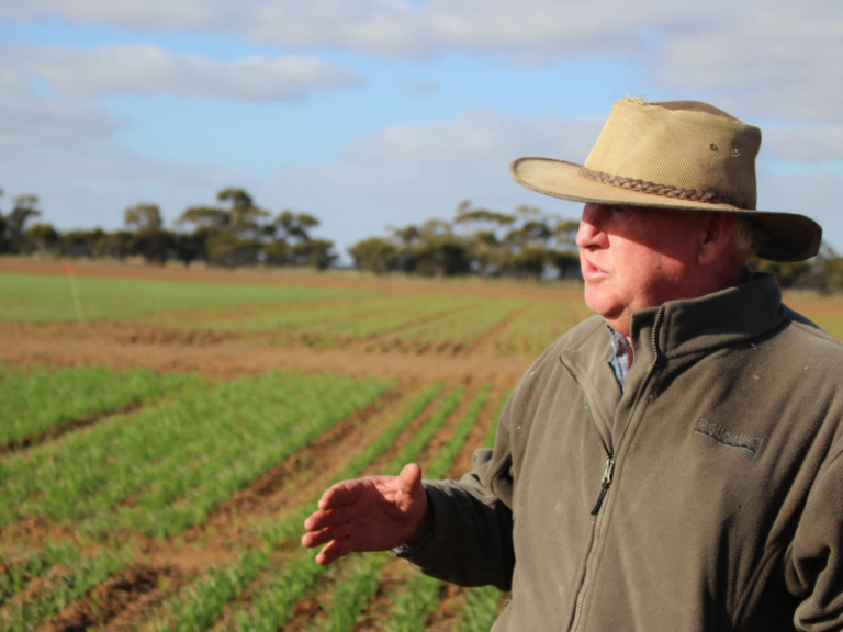 BCG Main Field Day on the horizon | Birchip Cropping Group