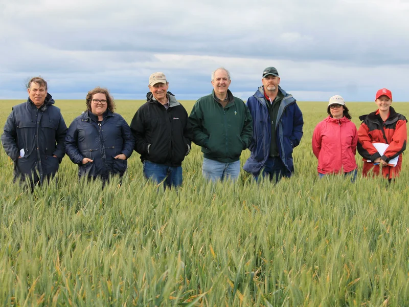 Soil Amelioration Trial Overview 2022 | Birchip Cropping Group