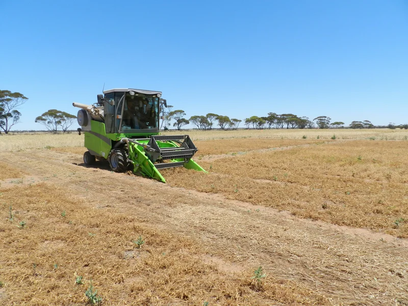 Adapting our farming systems | Birchip Cropping Group